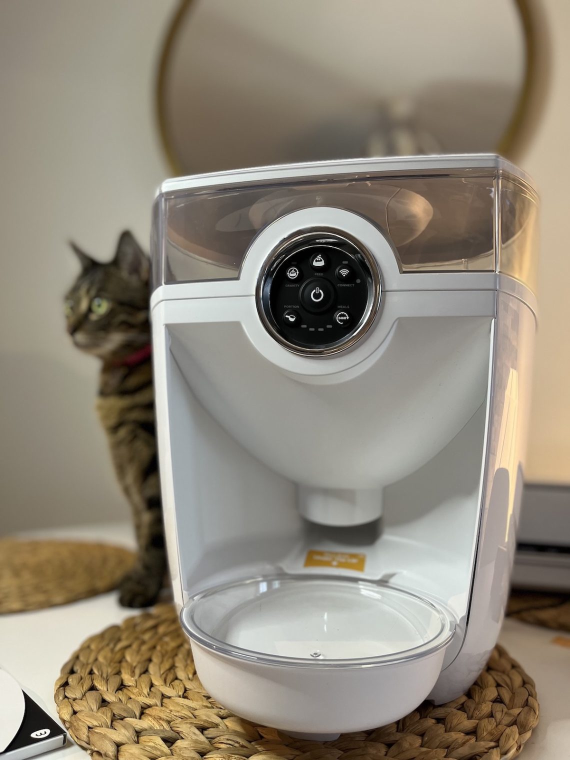 5 Best Automatic Feeders For Cats in 2026 | TechnoMEOW