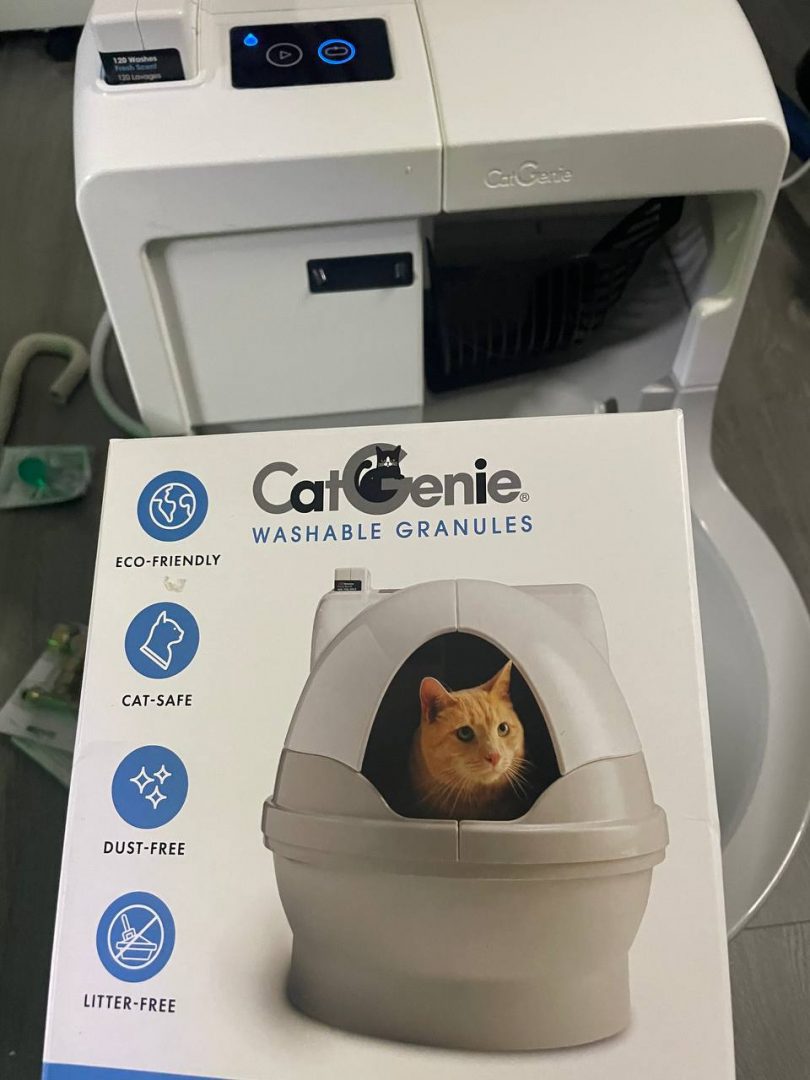 5 Best Automatic Self-Cleaning Litter Boxes for Cats in 2026
