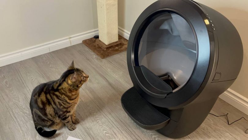 Litter-Robot 4 Big Review: I Put It to the Test with My Cat