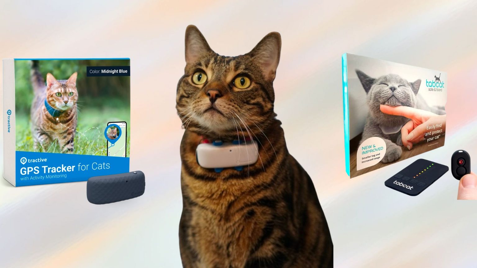 Top 10 Gadgets For Cats & Cat Owners | TechnoMEOW