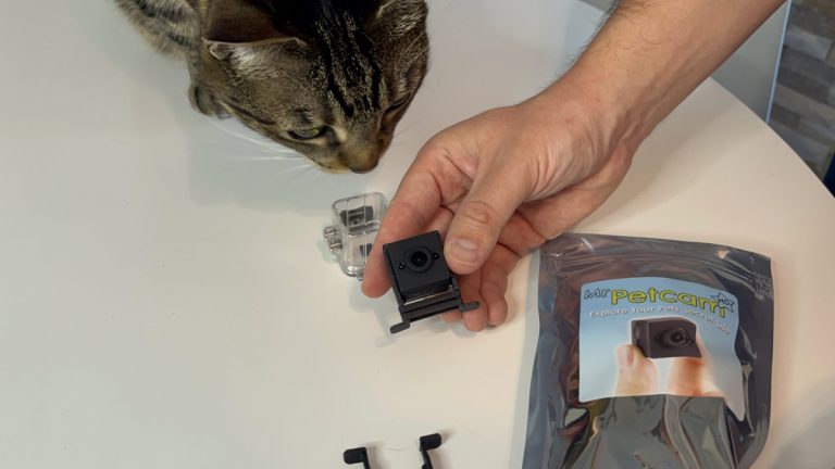 Top 5 Best Cat Collar Cameras in 2026 | TechnoMEOW