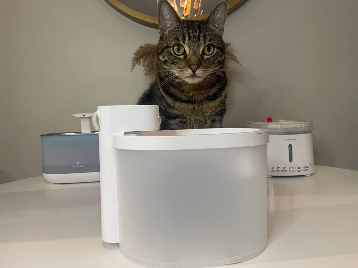5 Best Cat Water Fountains | TechnoMEOW