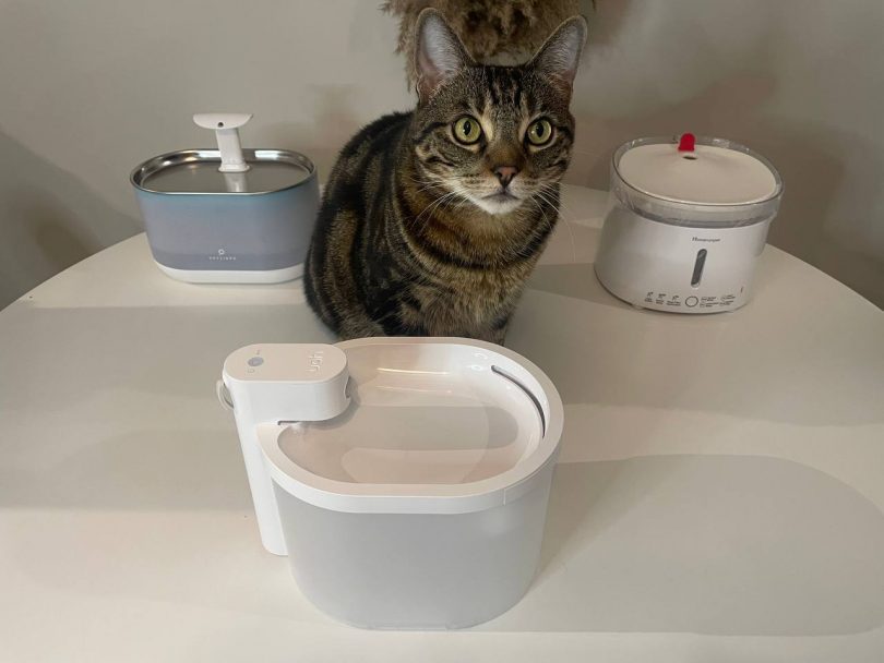 5 Best Cat Water Fountains | TechnoMEOW