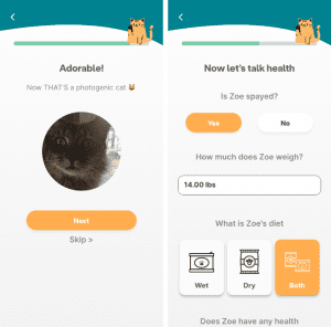 Should You Buy a Litter-Robot 4? Your Top 25 FAQs Finally Answered (And ...