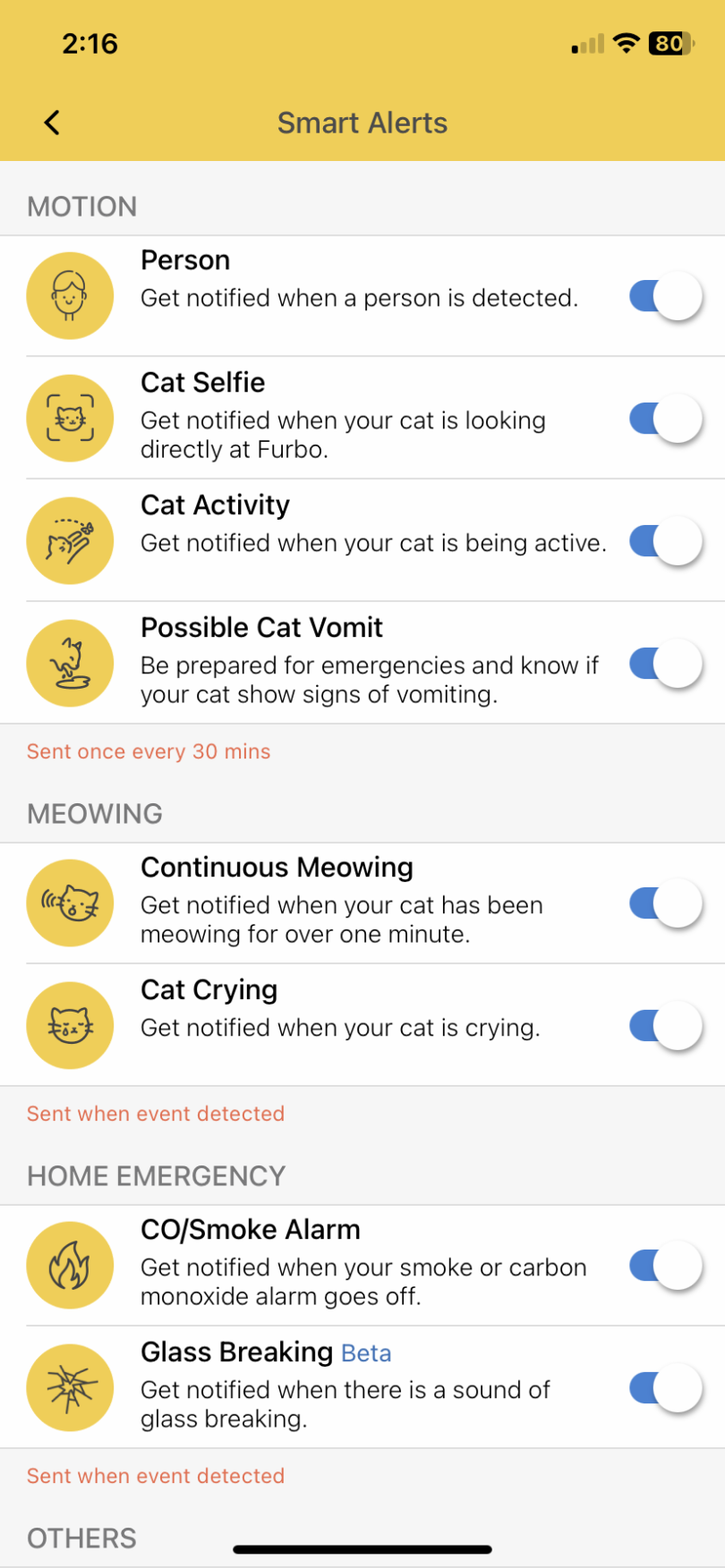 Furbo Cat Camera: A Game-Changer for Cat Owners – A Detailed Review ...