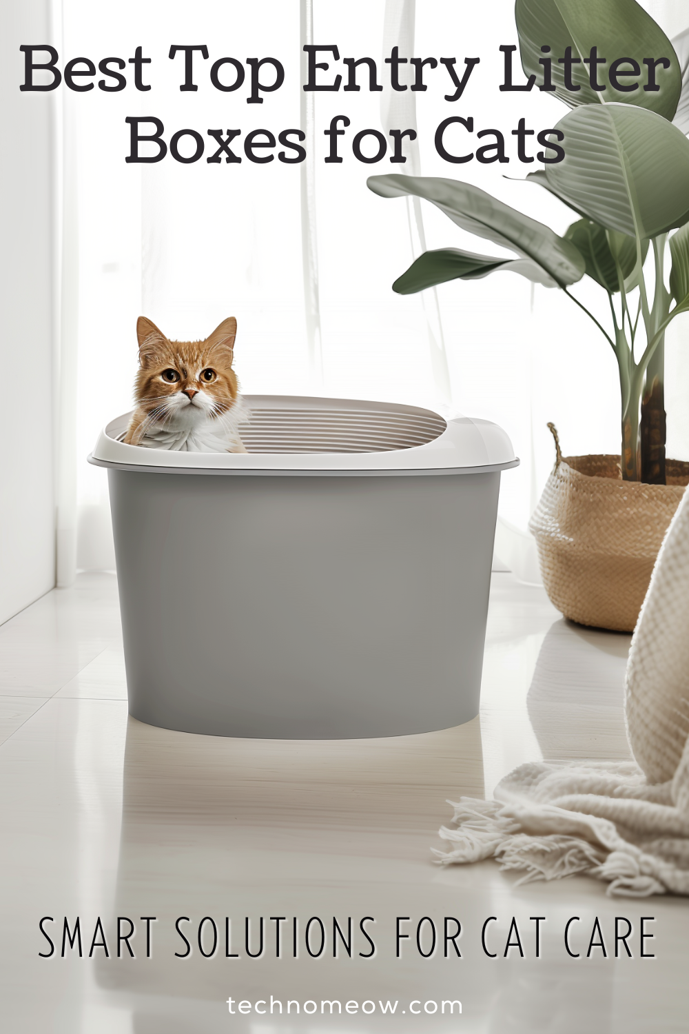 Best Top Entry Litter Boxes for Cats | TechnoMEOW