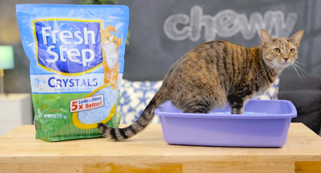 Best Crystal Cat Litter: Top 5 Picks of 2026 | TechnoMEOW