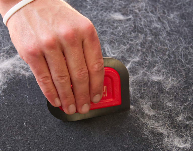 Best Pet Hair Removers for Cat Parents | TechnoMEOW