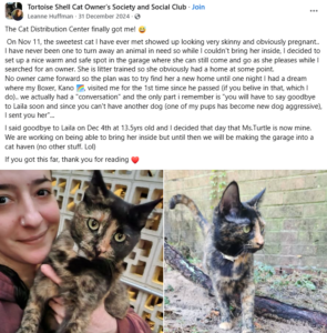 The Cat Distribution System Explained: Why Cats Keep Finding You ...