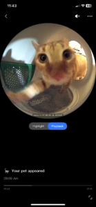 I Tested the PETKIT Purobot Max Pro 2 — Here’s What Surprised Me ...