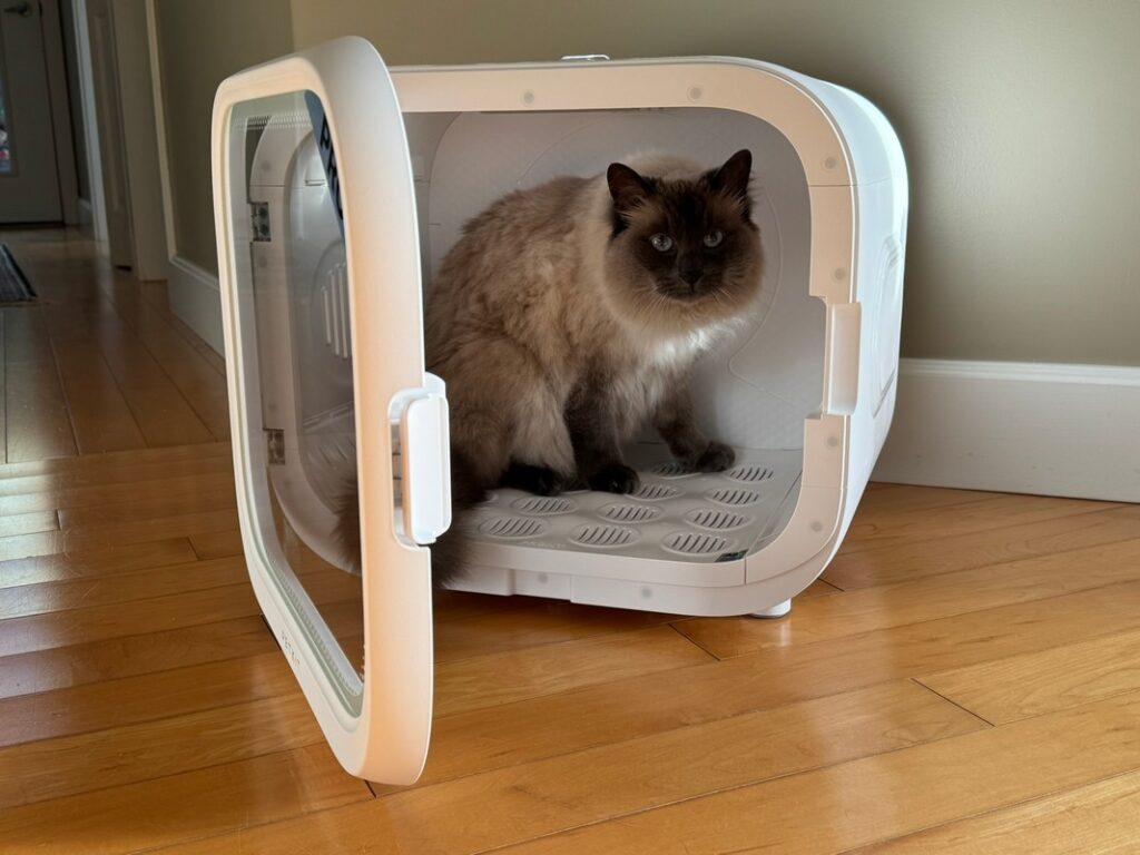 We Tried the PetKit AirSalon Max Pro on Milo—Here’s How it Went ...