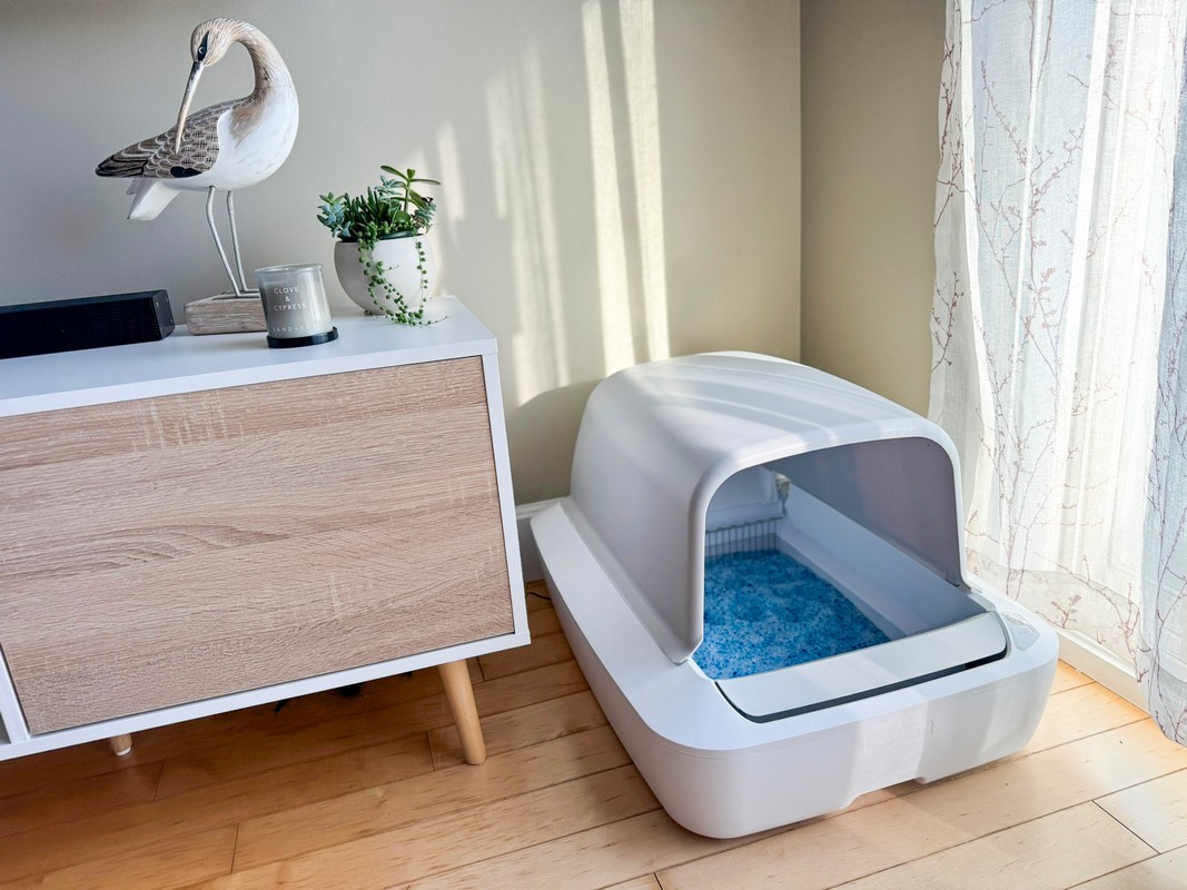 PetSafe ScoopFree Crystal Pro Review: A Self-Cleaning Litter Box Even ...